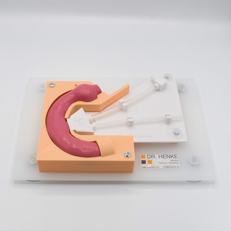 Simstar Ercp Basic Dr Henke