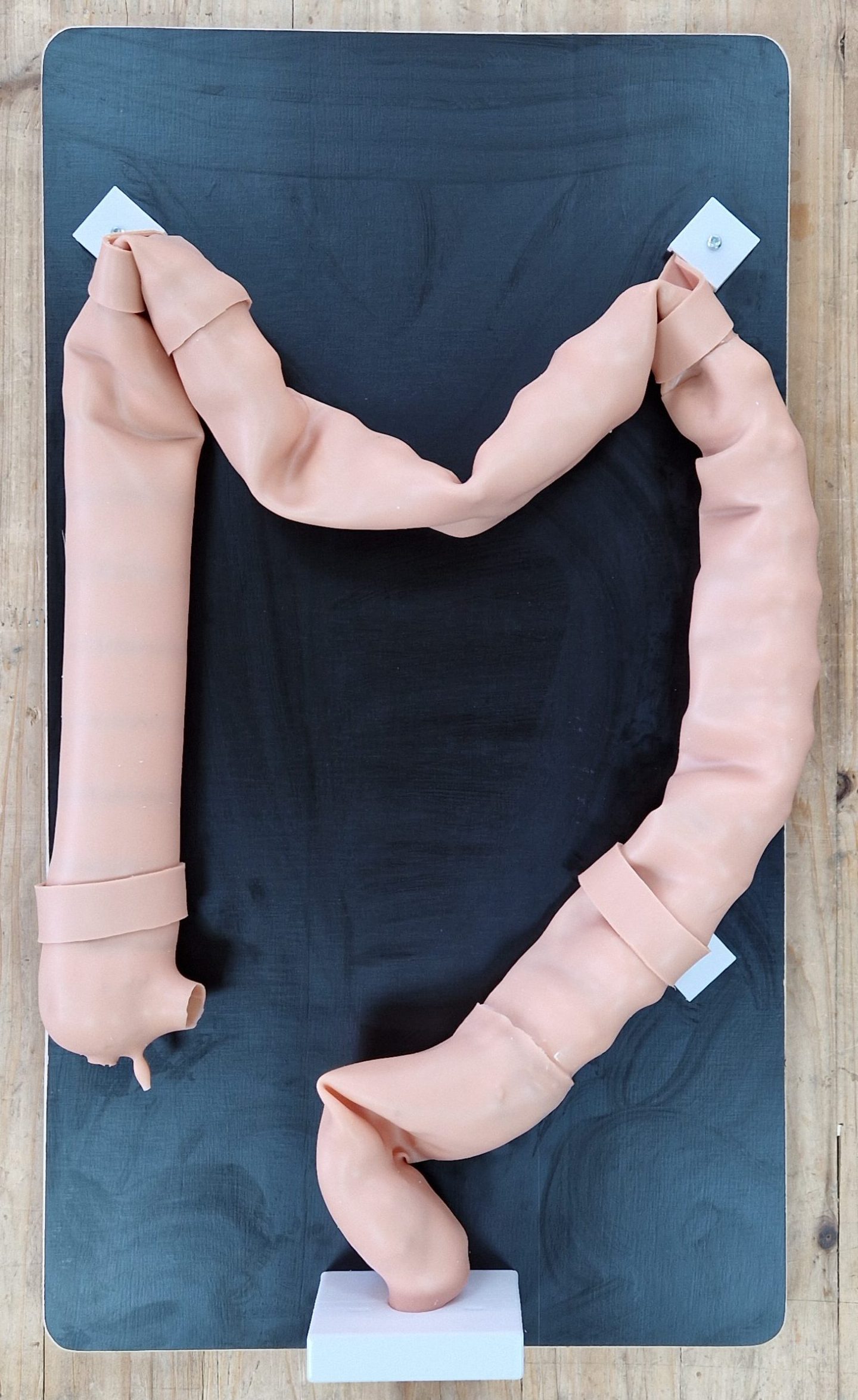 SimStar Colon Advanced – Dr. Henke